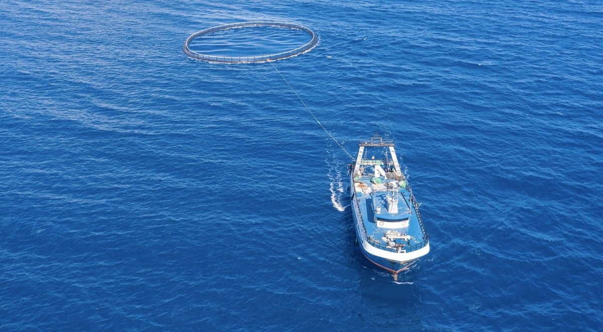 Tackling overfishing with a Blue Recovery Bond and a new interactive tool | Planet Tracker | ESG ...