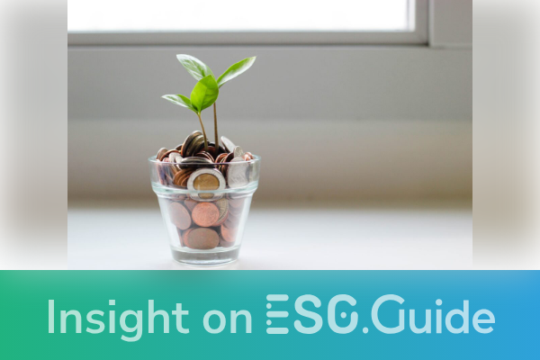 Green Bonds Fade While Social Bonds Blaze | ING THINK Economic and Financial Analysis | ESG.Guide