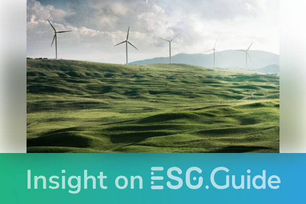 Emmanuel Faber appointed as ISSB Chair | ESG.Guide