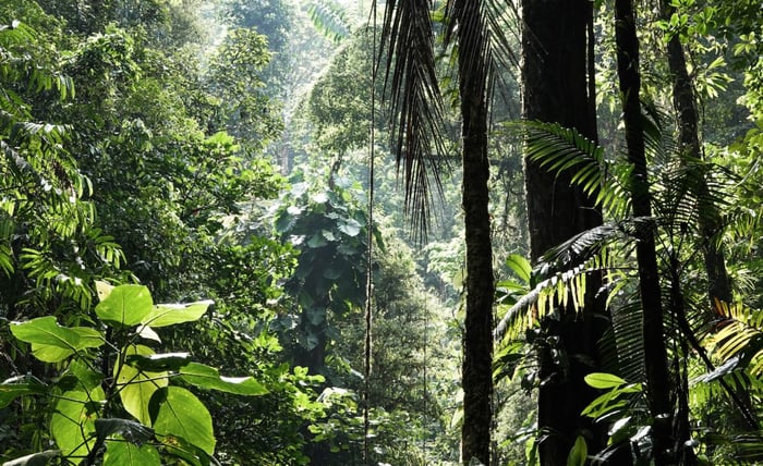 EFRAG and GRI to co-construct biodiversity standard | ESG.Guide