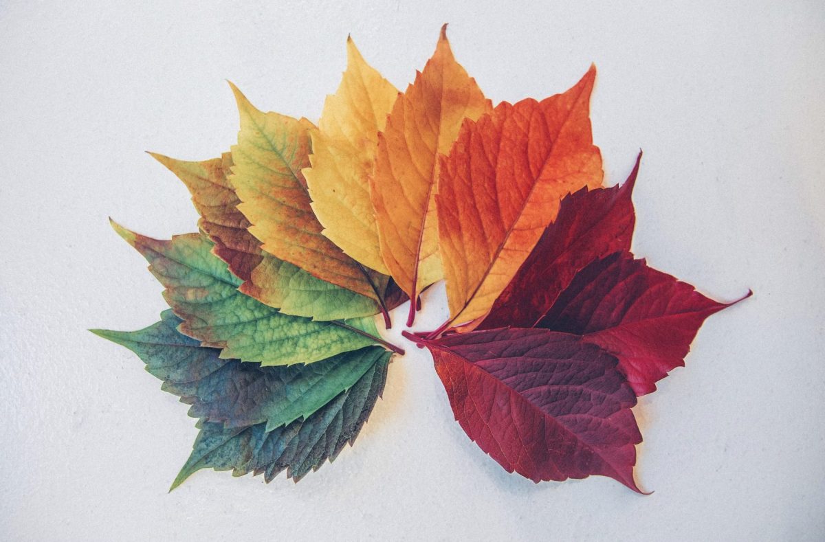 Transition Plan Taskforce publishes final Disclosure Framework and ...