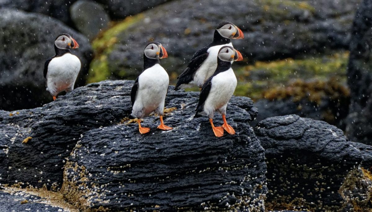 Nature Target Setting Framework for Asset Managers and Asset Owners ...