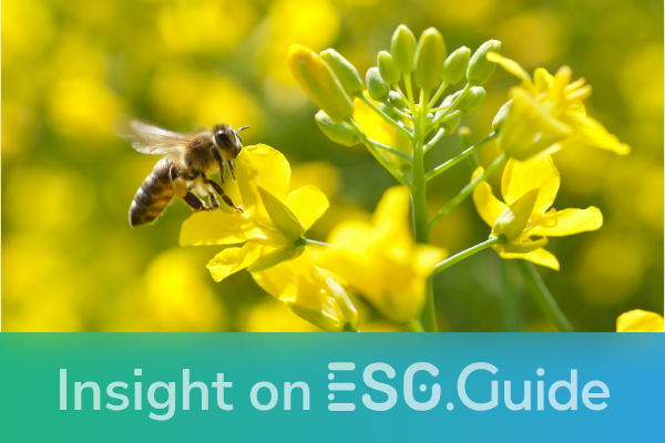 40 percent of bees and other pollinators face extinction | ESG.Guide