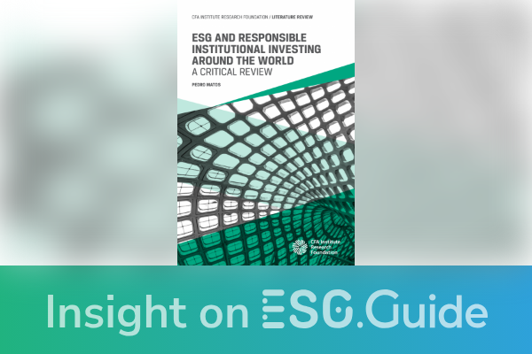 ESG and Responsible Institutional Investing Around the World: A ...