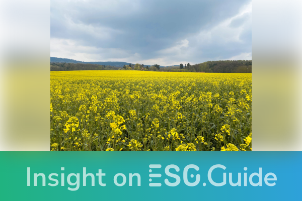 Certificate in ESG Investing | CFA Society Germany | ESG.Guide
