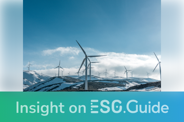What has NZAOA achieved since 2019? A look at five key milestones | ESG ...