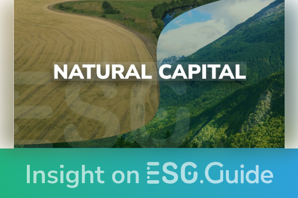 Asset Manager Update und Investment-Strategien bei Natural Capital ...