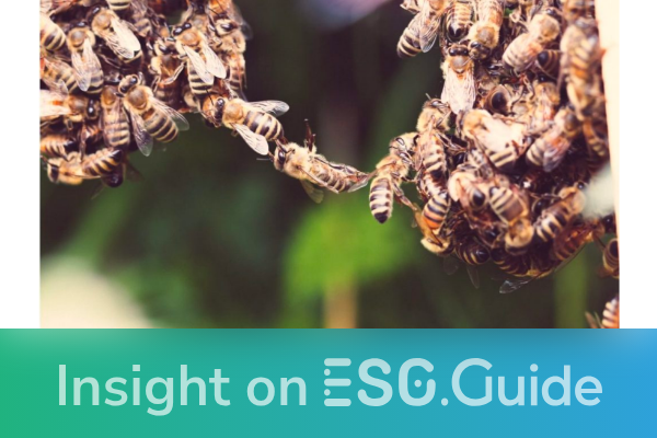 Nature Action 100 announces companies, start of investor engagement ...