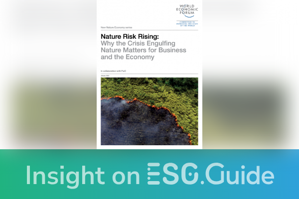 Nature Risk Rising: Why the Crisis Engulfing Nature Matters for ...