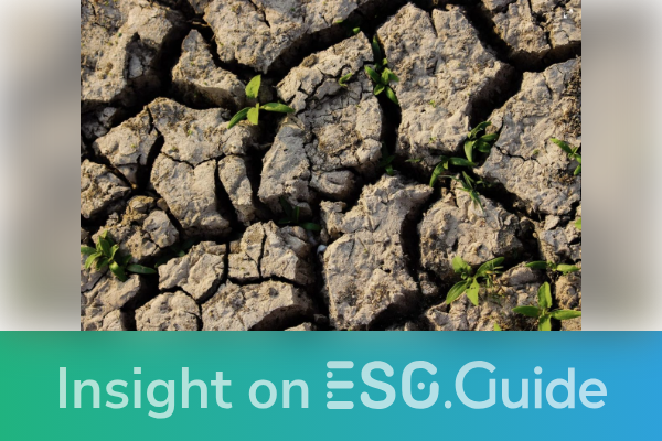 New Soil Law offers glimmer of hope for EU soils but lacks teeth ...