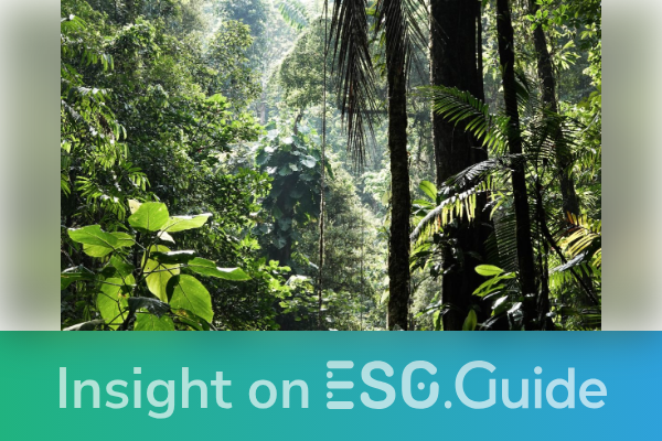 ISSB will consider nature-related standards and disclosures | ESG.Guide