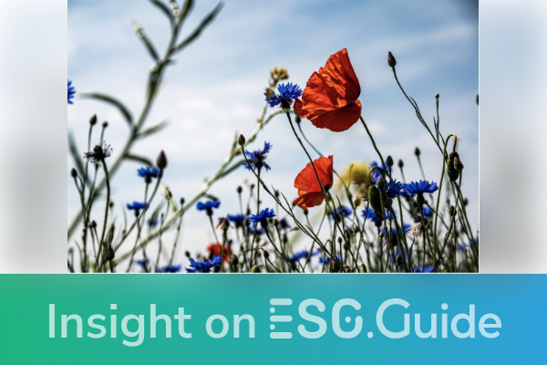 New GRI Biodiversity Standard available for use by companies around the ...