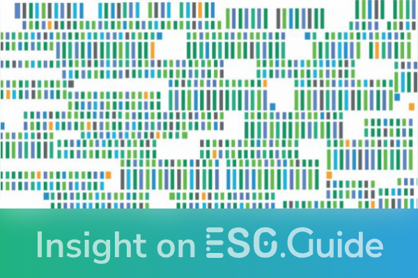 Guidance for Integrating ESG Information into Equity Analysis and ...