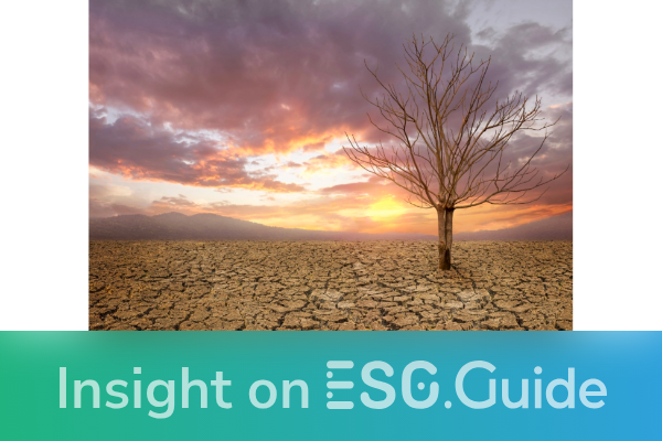 Setting the standard for transparency on climate change impacts | ESG.Guide