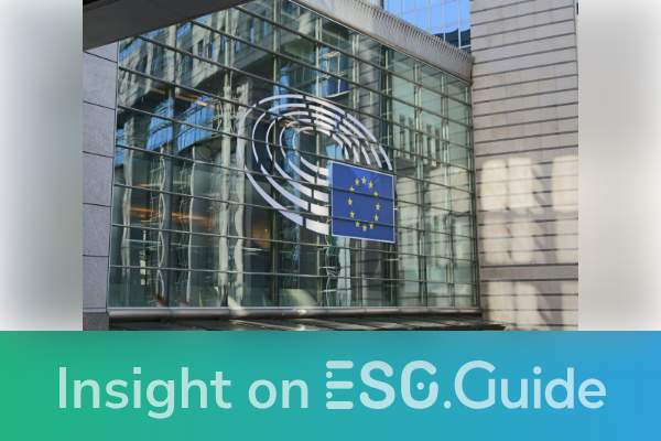 Efrag Sustainability Reporting Board Esg Guide