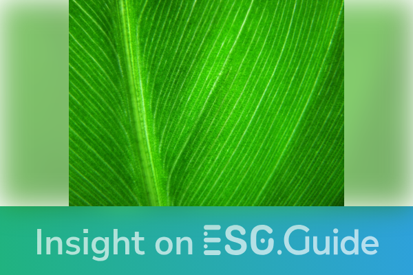 Active ownership as a greenwashing tool? | ESG.Guide