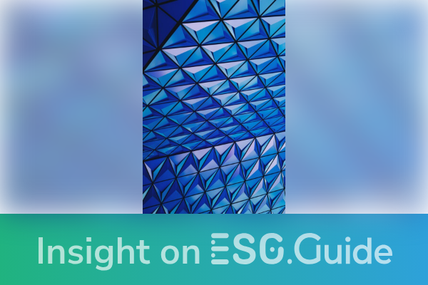 Value Reporting Foundation: Integrated Reporting Framework | ESG.Guide