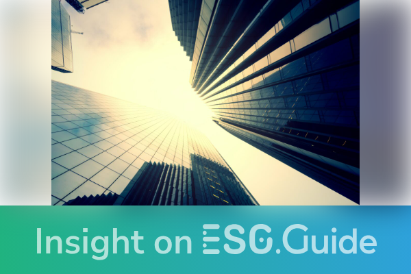 55 Leading International Asset Owners and Asset Managers Ask Companies to Use SASB Standards ...