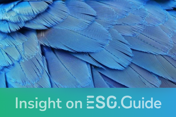 Climate as Core | Arabesque Asset Management | ESG.Guide