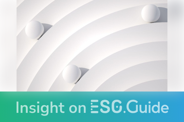 Investing for the low carbon transition – turning portfolio targets ...