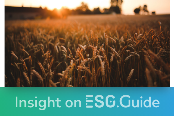 Food and Agriculture Sustainability Strategies Framework | ESG.Guide