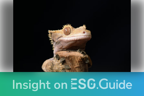 Tackling nature-related risks with WWF's Biodiversity Risk Filter | ESG ...